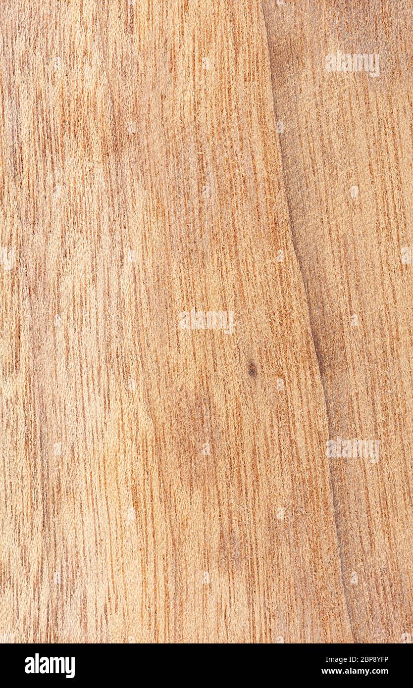 Phoebe zhennan or Chinese Nan tree wood textured background Stock Photo ...