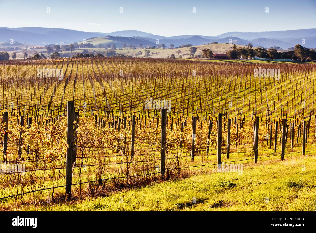 Yarra valley sunset hi-res stock photography and images - Alamy