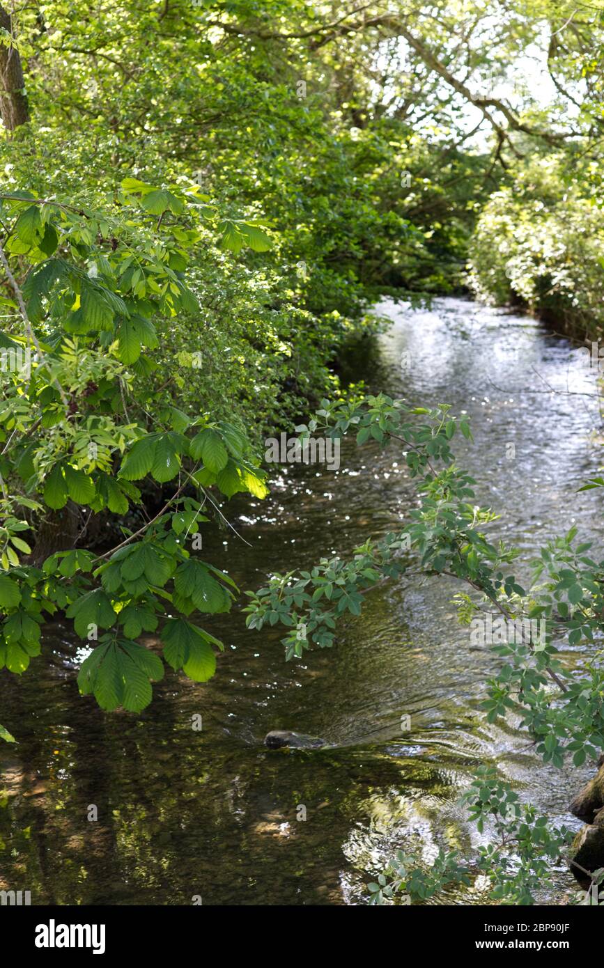 Important as conduits in the water cycle hi-res stock photography and ...