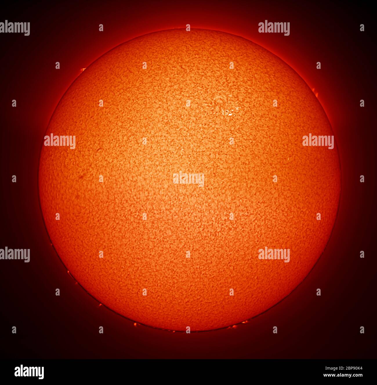 solar disk and prominences photographed in the Hydrogen alpha (H alpha ...