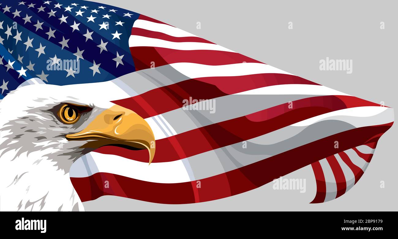 eagle animal usa america flag patriotic illustration Stock Photo - Alamy