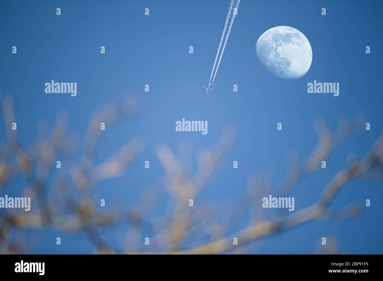 high flying jet and moon Stock Photo - Alamy