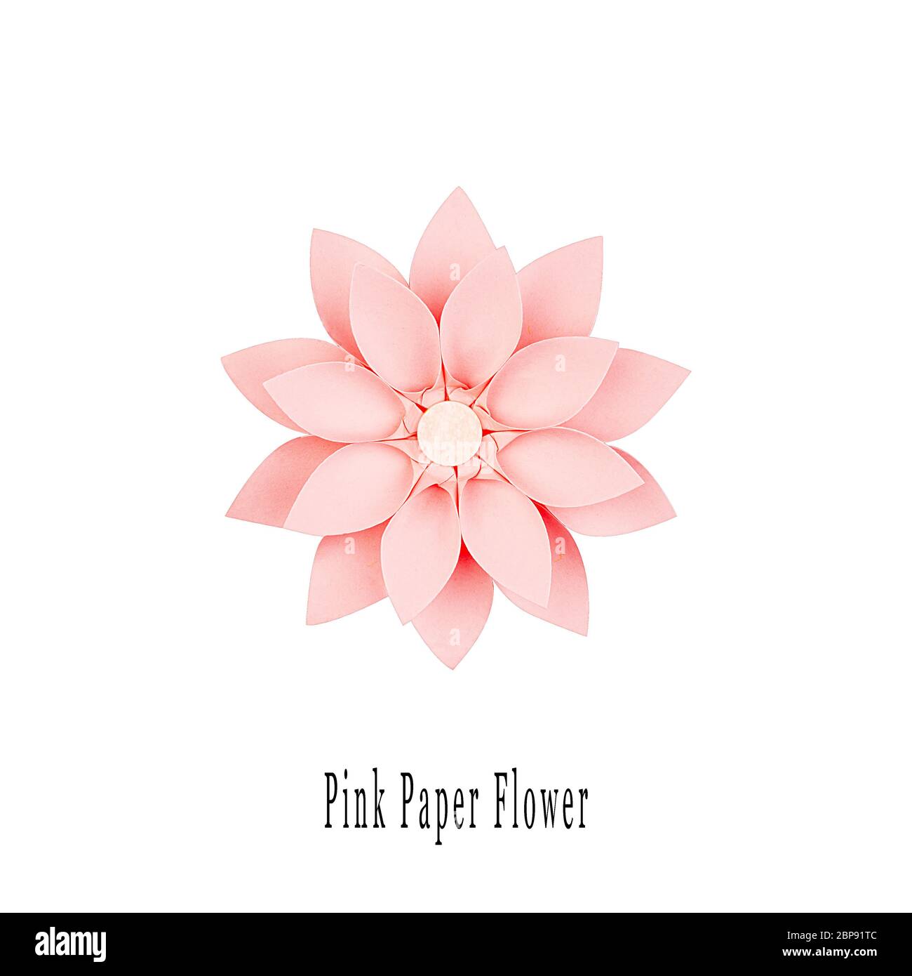 Pink paper flower handmade, top view, isolated Stock Photo - Alamy