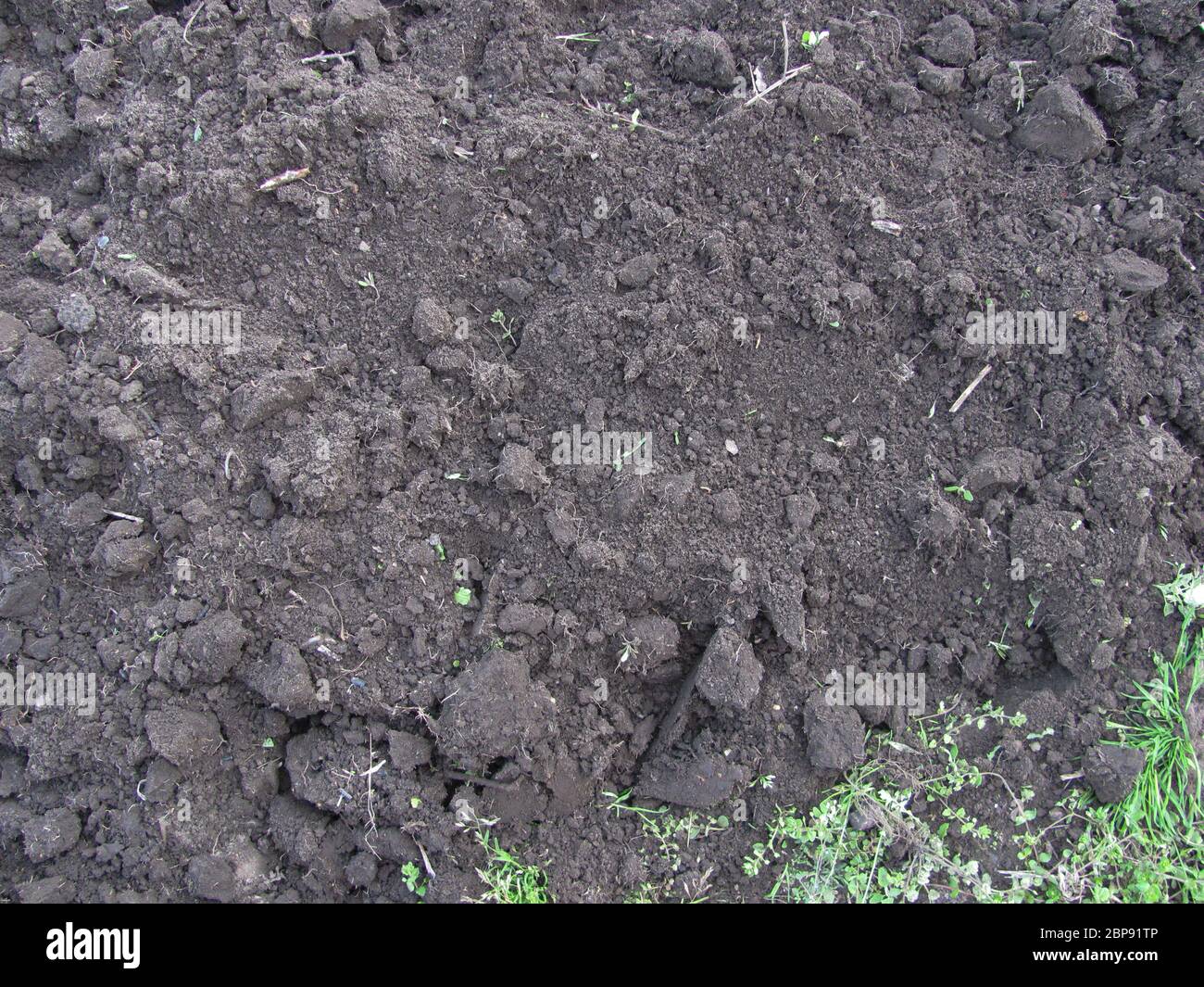 gray dry soil texture background Stock Photo - Alamy