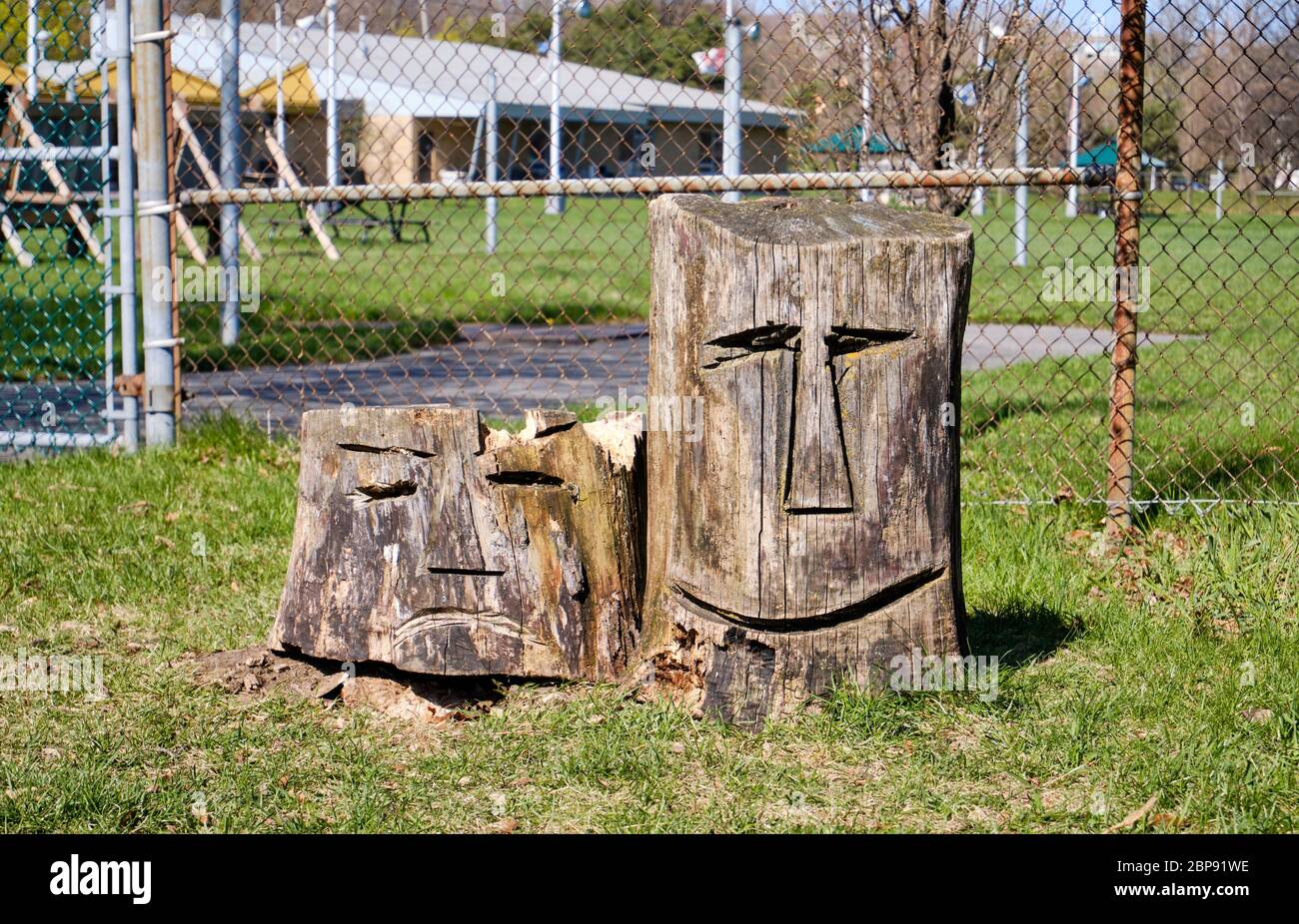 Two tree stumps in a park carved with a sad and a happy face Stock ...