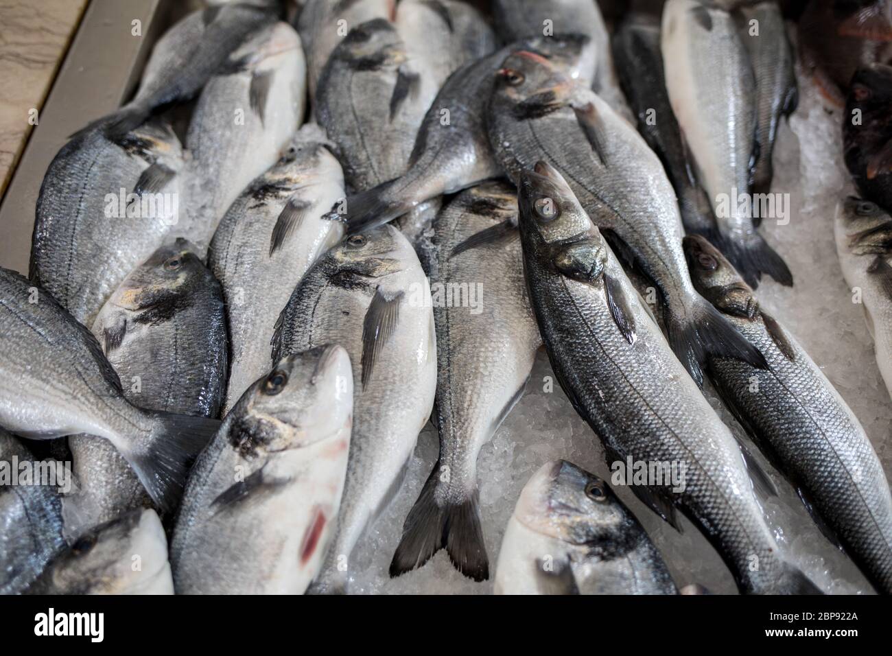 Fresh fish for sale at a fish market Stock Photo - Alamy