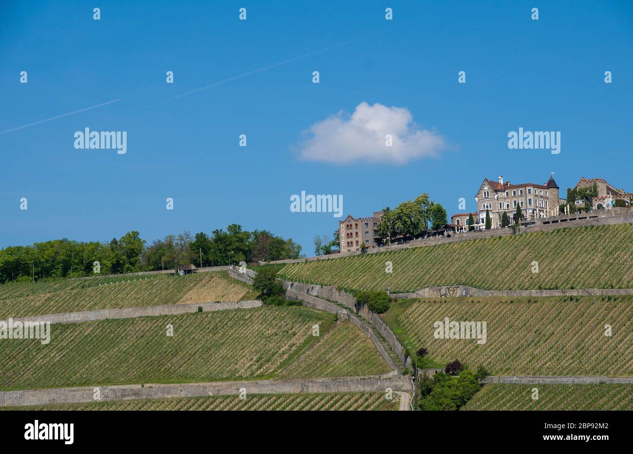 Steinburg hi-res stock photography and images - Alamy