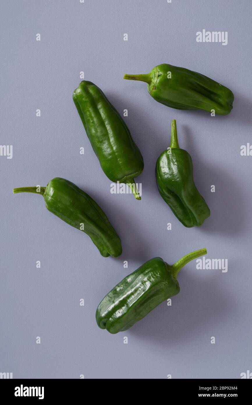 Five fresh whole pods of hot pungent spicy green jalapeno chili pepper ...