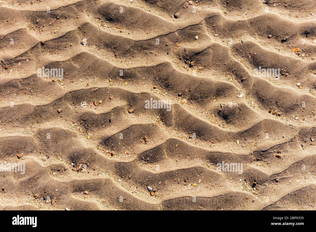 Oscillation ripple on the beach of Borkum Stock Photo - Alamy