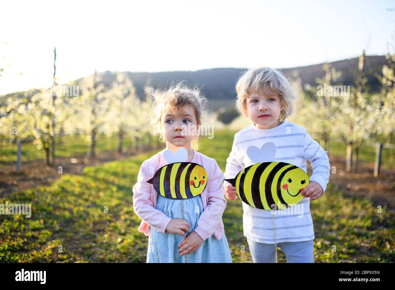 Young bees hi-res stock photography and images - Alamy