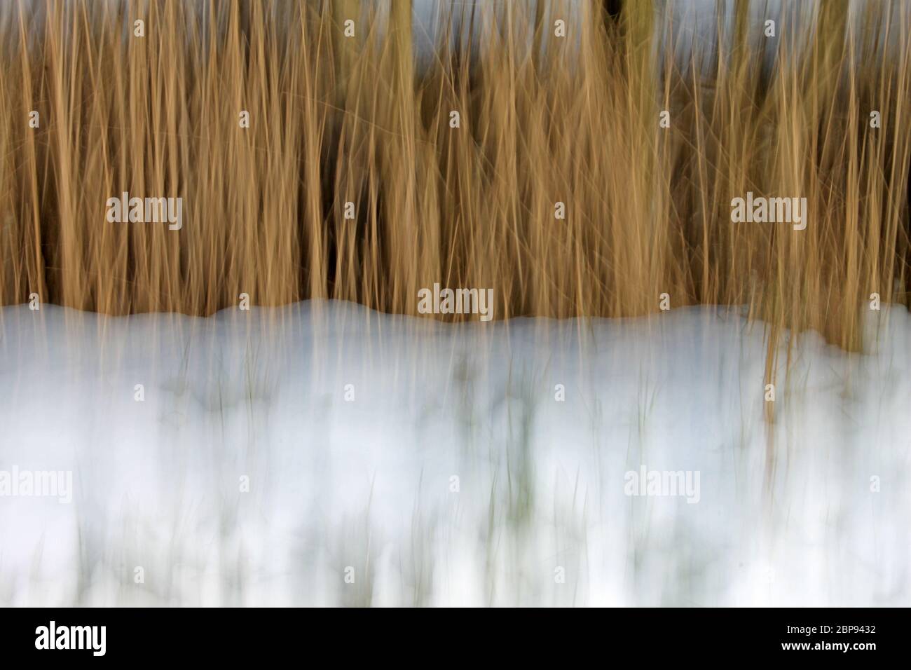 Intentional camera movement of grass Stock Photo - Alamy