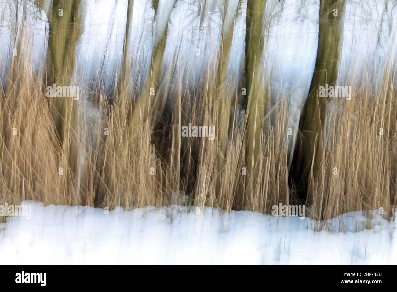 Intentional camera movement of grass Stock Photo - Alamy