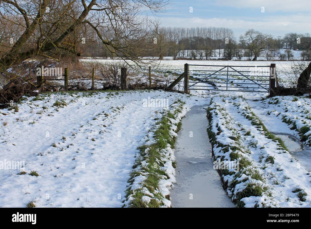 Farmland and iced track leading to gate, Holt, Wrexham Stock Photo - Alamy