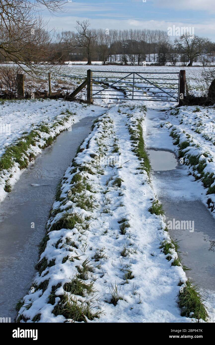 Farmland and iced track leading to gate, Holt, Wrexham Stock Photo - Alamy