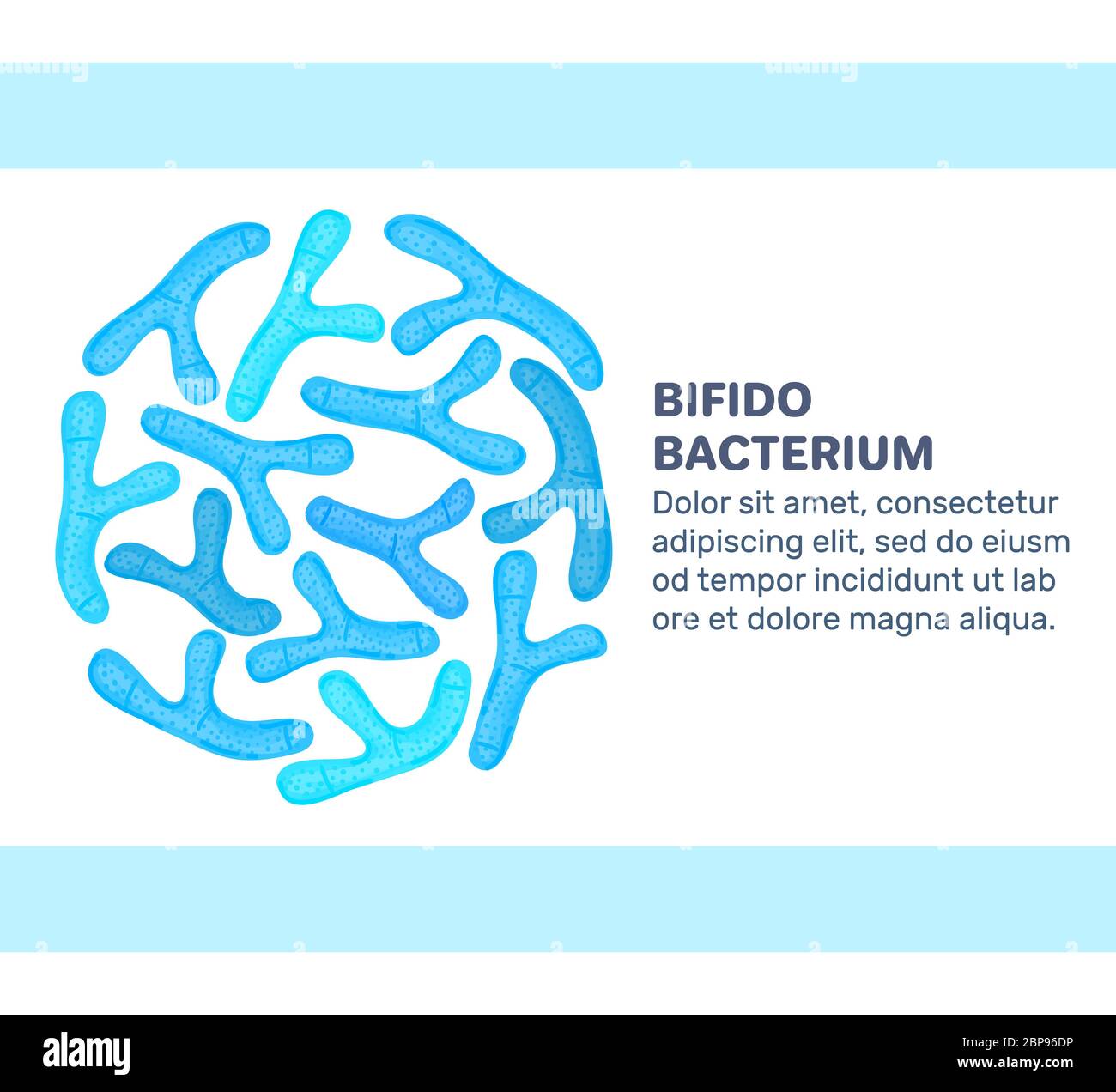 Vector background with probiotics in circular shape. Bifidobacterium ...