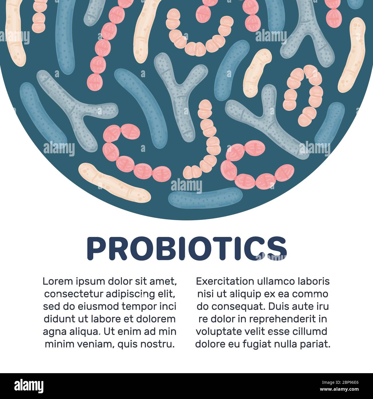 Vector background with probiotics in semicircular shape ...