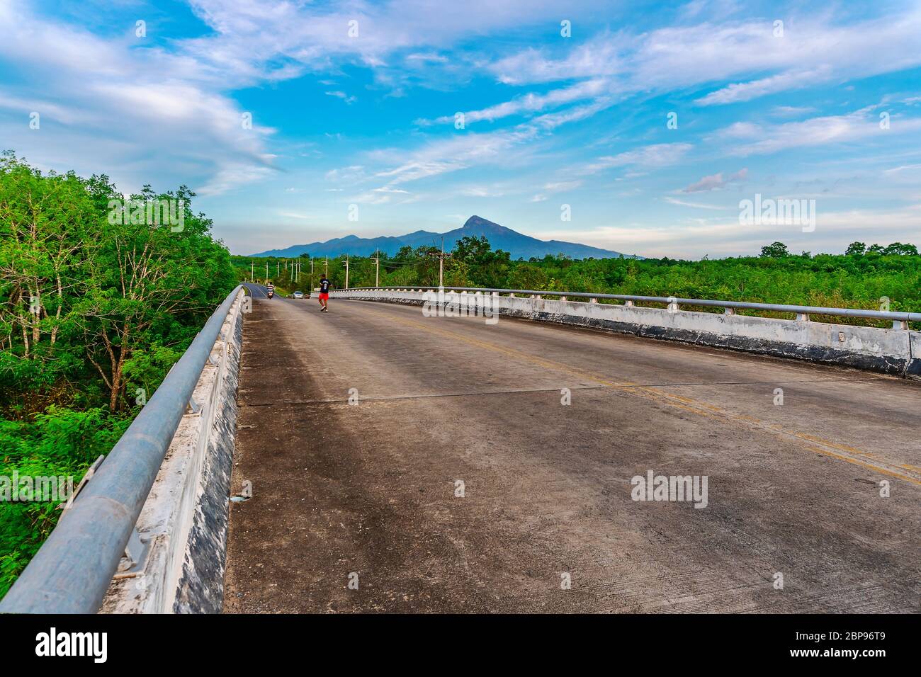 Road with bridge and tree nature in sunlight, Way and bridge in nature ...