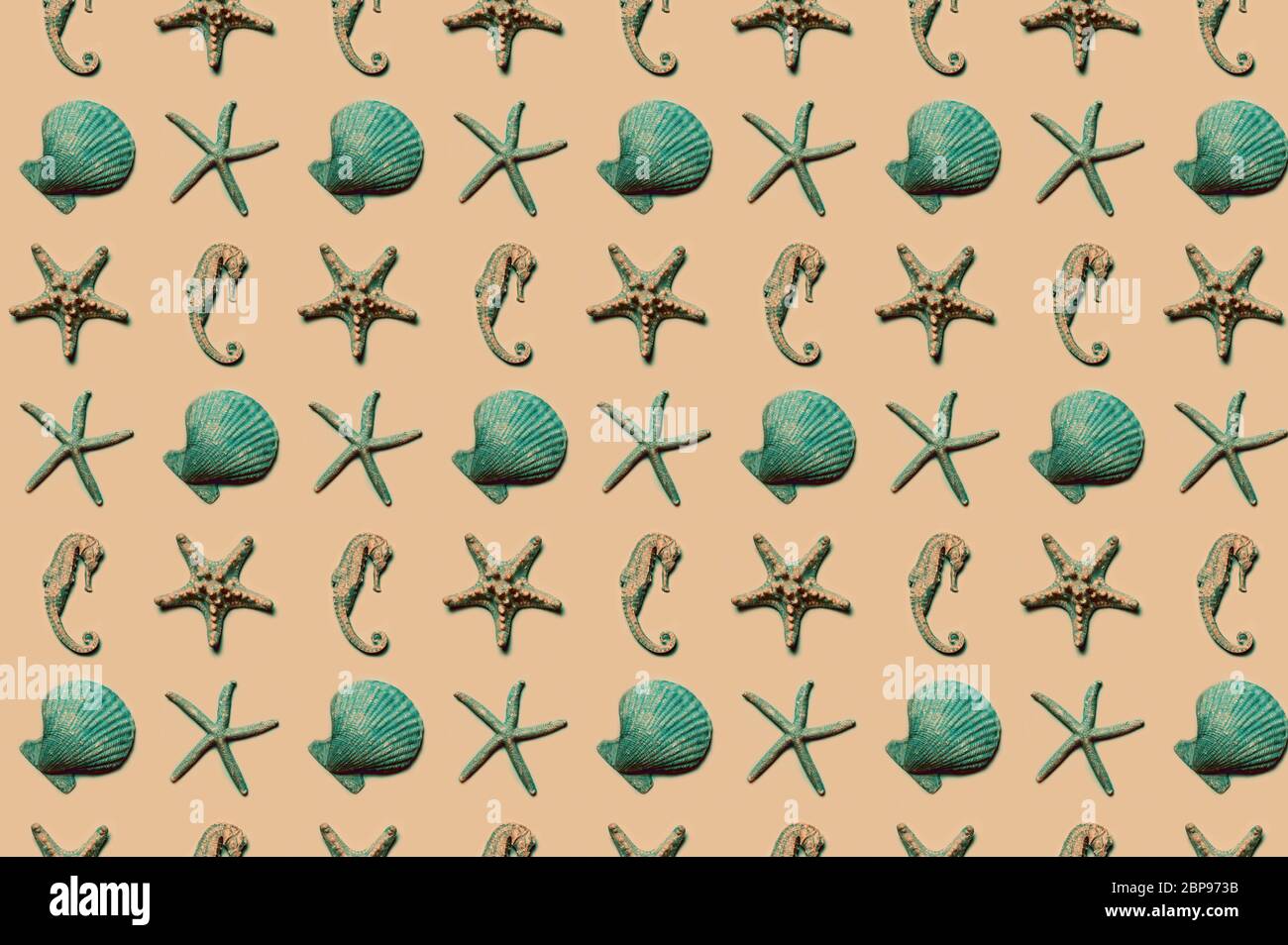 Collection of different seashells, pattern of turquoise shells on sand ...