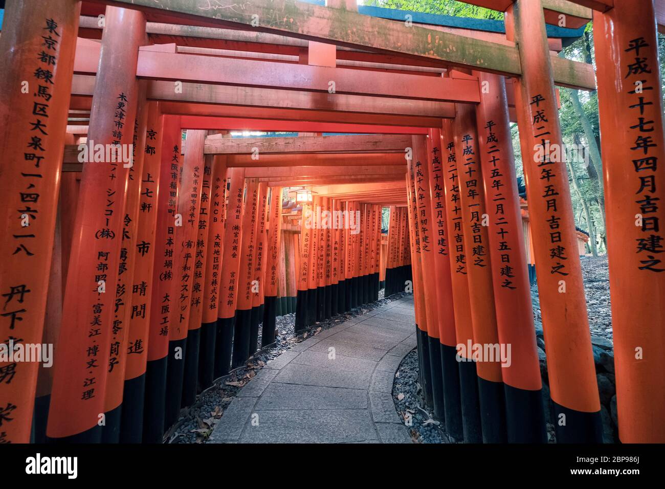 Kyoto, Japan - Nov 11 2017 : Red ancient wood torii gate with japanese ...