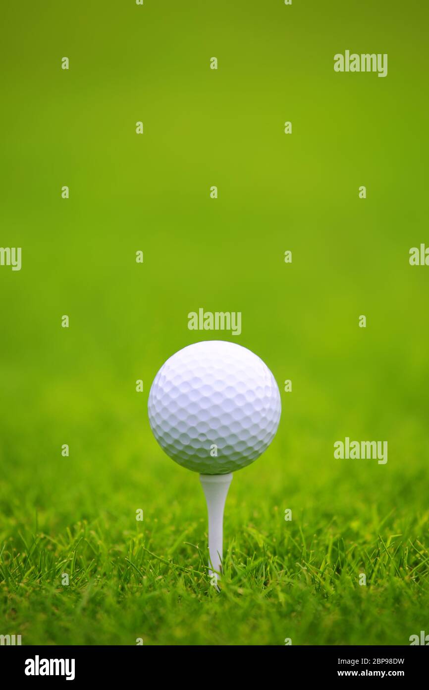 Golf ball on tee on green grass of golf course background, backgrounds ...