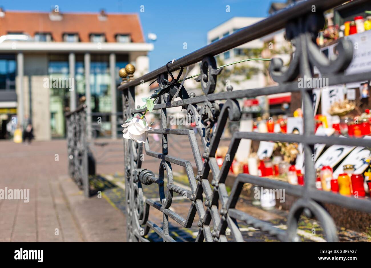 Memorial places. Memory of the murdered. Market in Hesse. White rose on ...