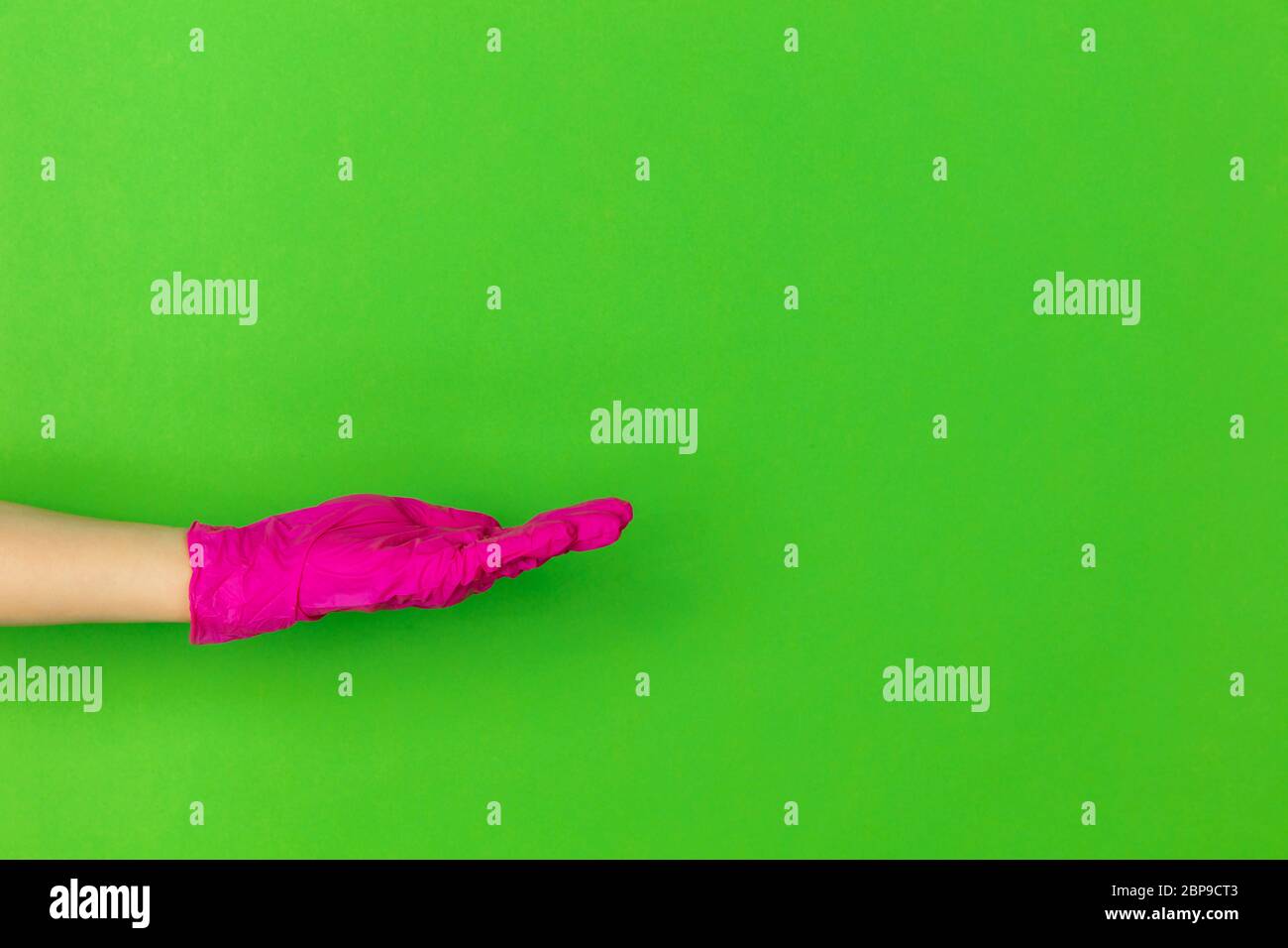Hand in pink protective rubber glove showing isolated on green studio ...