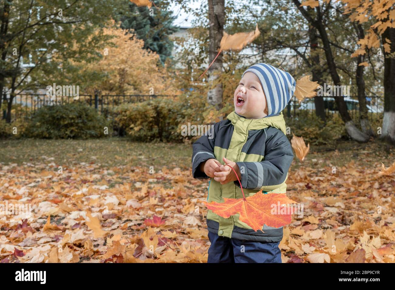 Boy falling from tree hi-res stock photography and images - Alamy