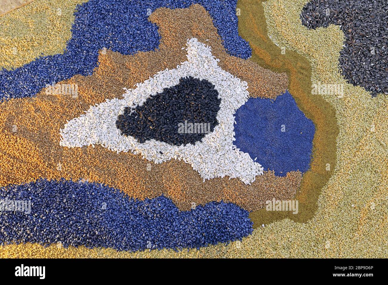 Bunch of Colourful Seeds and Cereal Grains Stock Photo - Alamy