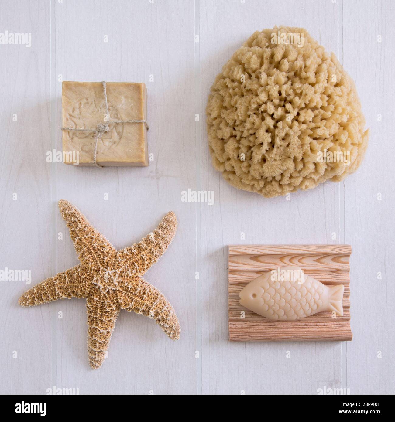 maritime spa still life with natural sponge, starfish and soap Stock ...