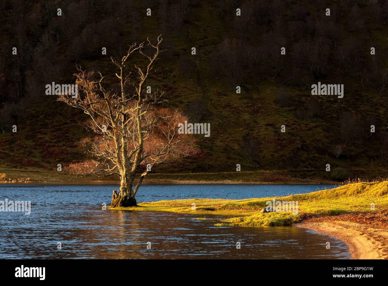 Sunrise, Loch Morie, Kildermorie Estate, Highlands, Scotland Stock ...