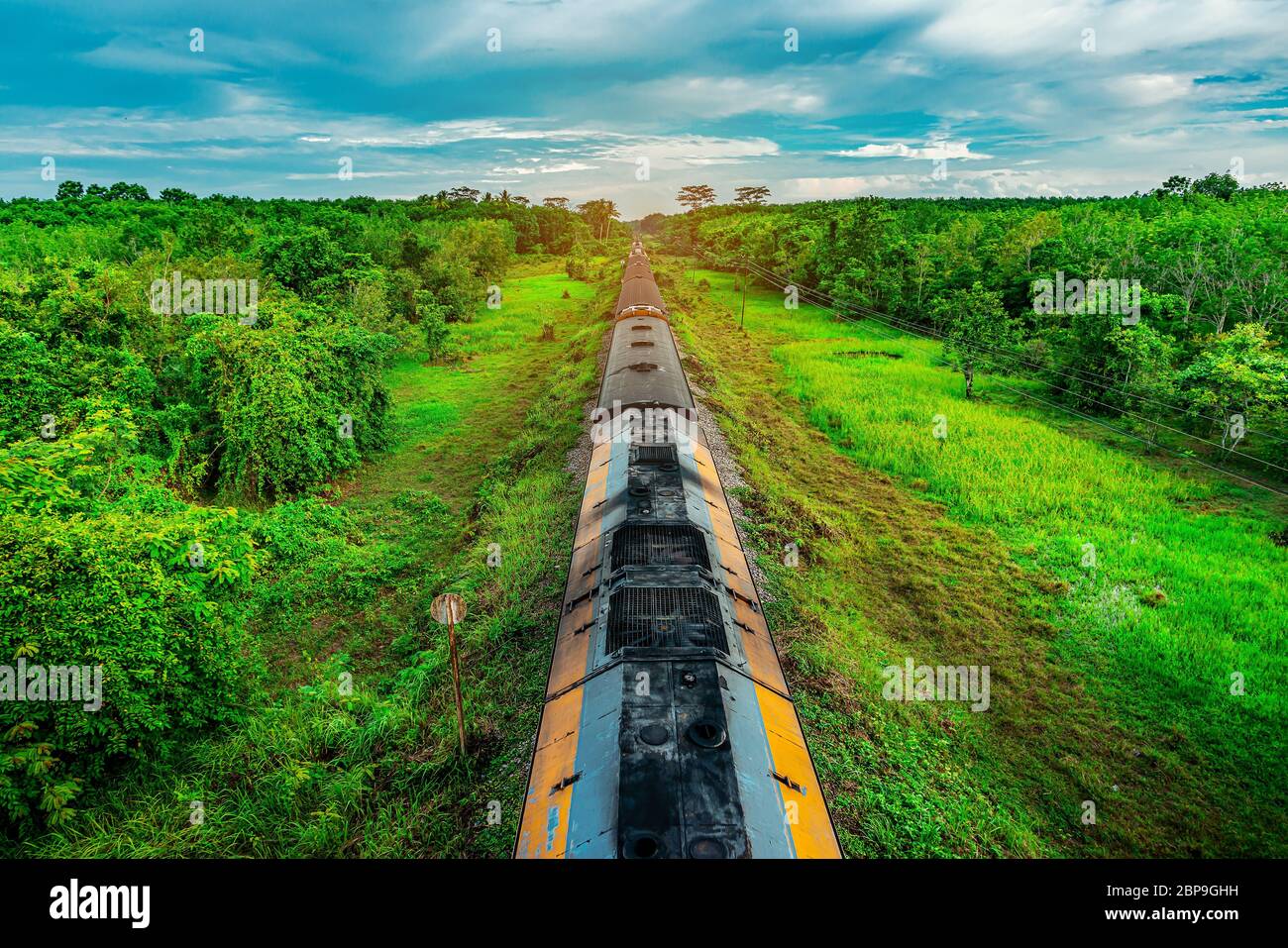 Train on railway transportation in forest and color of sunset ...