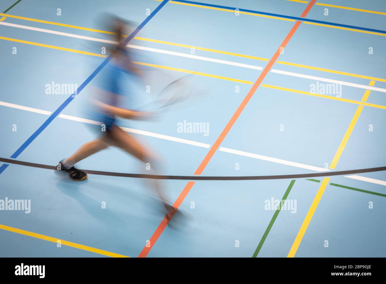 Badminton player in fast motion on a badminton court in a gymnasium ...