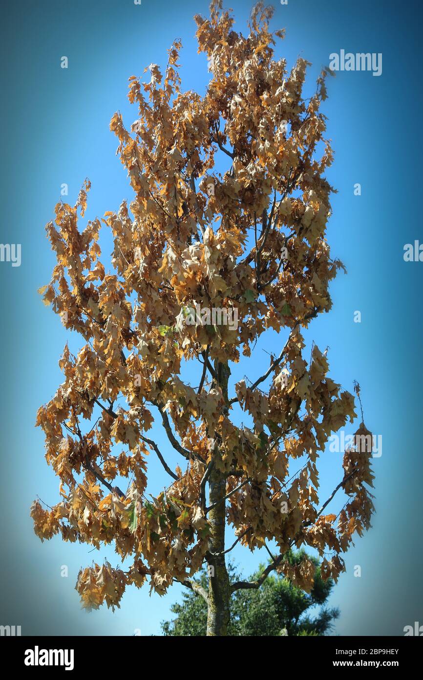 High heat hi-res stock photography and images - Alamy