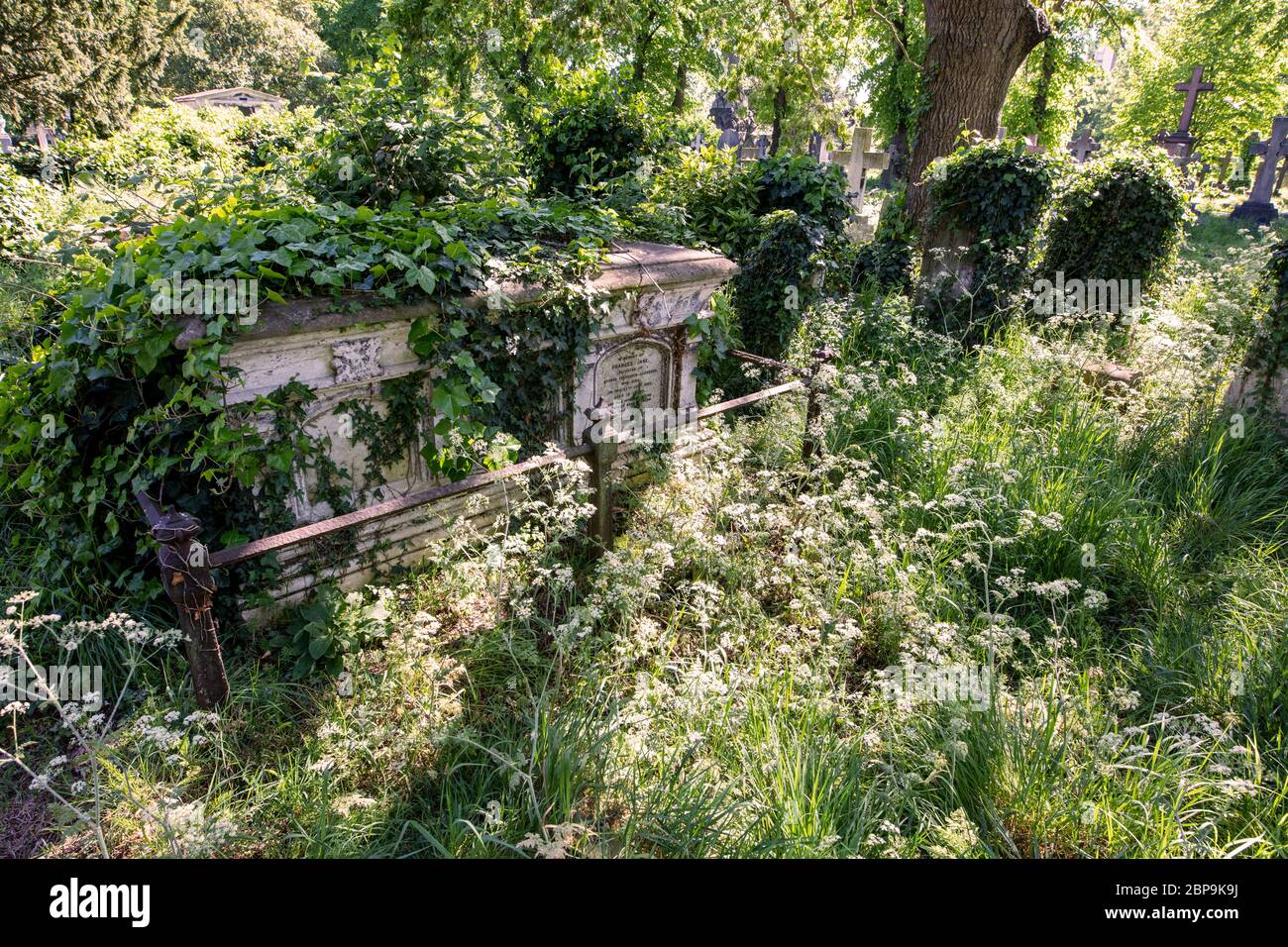 Brompton Cemetery, one of the Magnificent Seven London cemeteries, Old ...