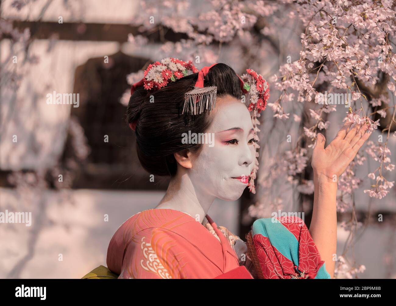 Maiko in a kimono posing in front of a traditional Japanese house ...