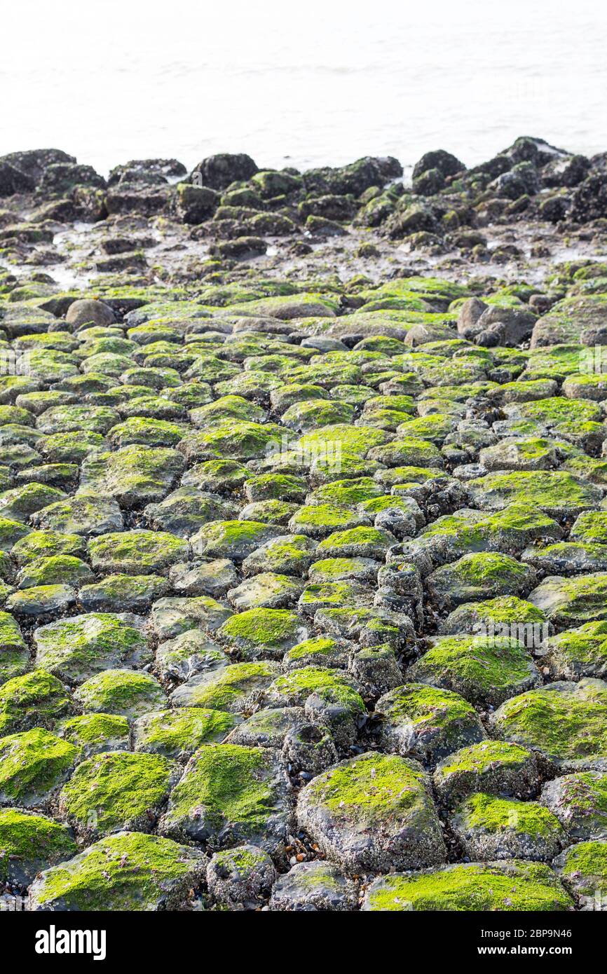 Shore sheeting from rough stones. Square, hexagonal stones are close ...