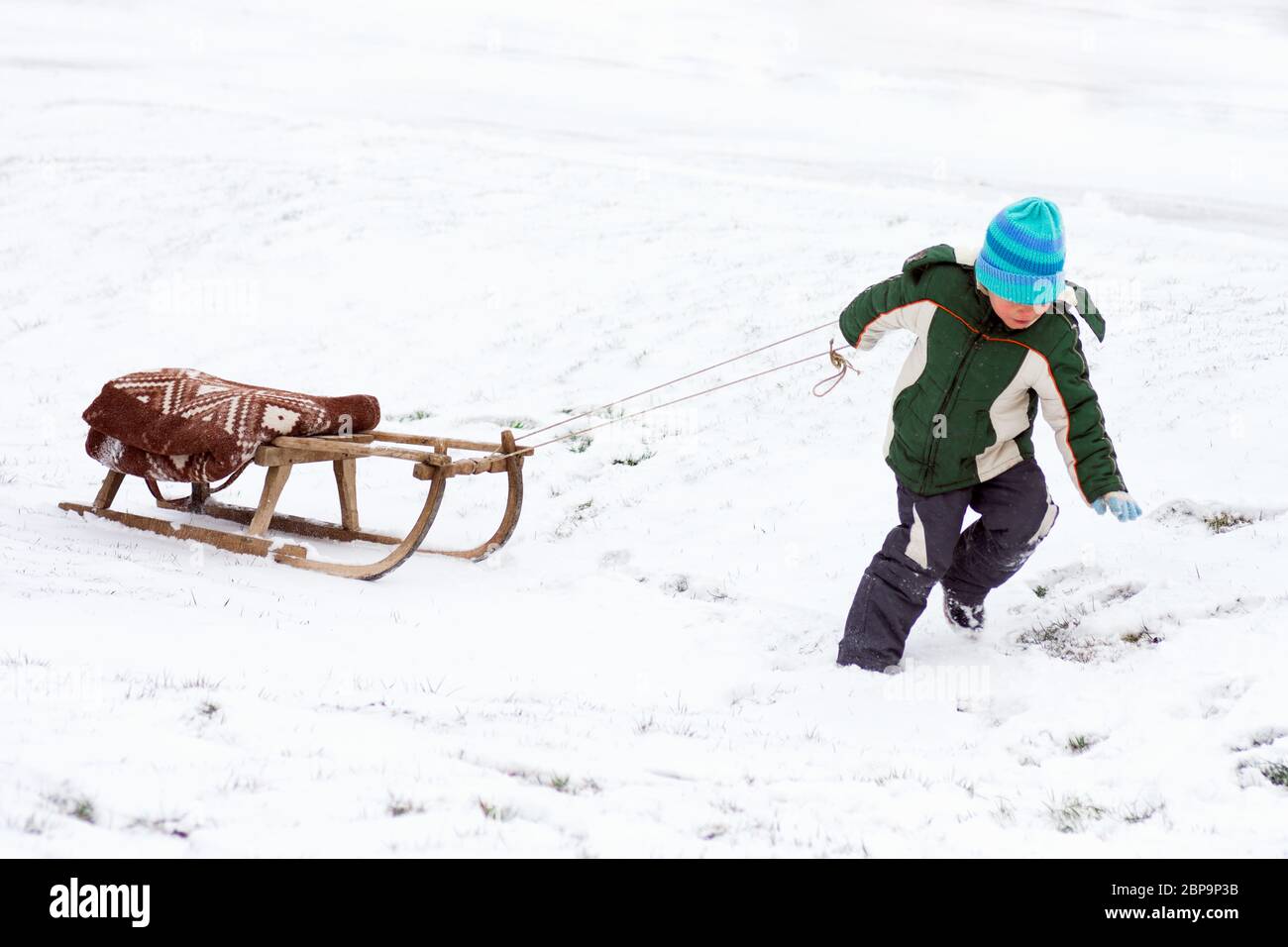 The cute little boy is playing and pulling the sledge with blanket on ...