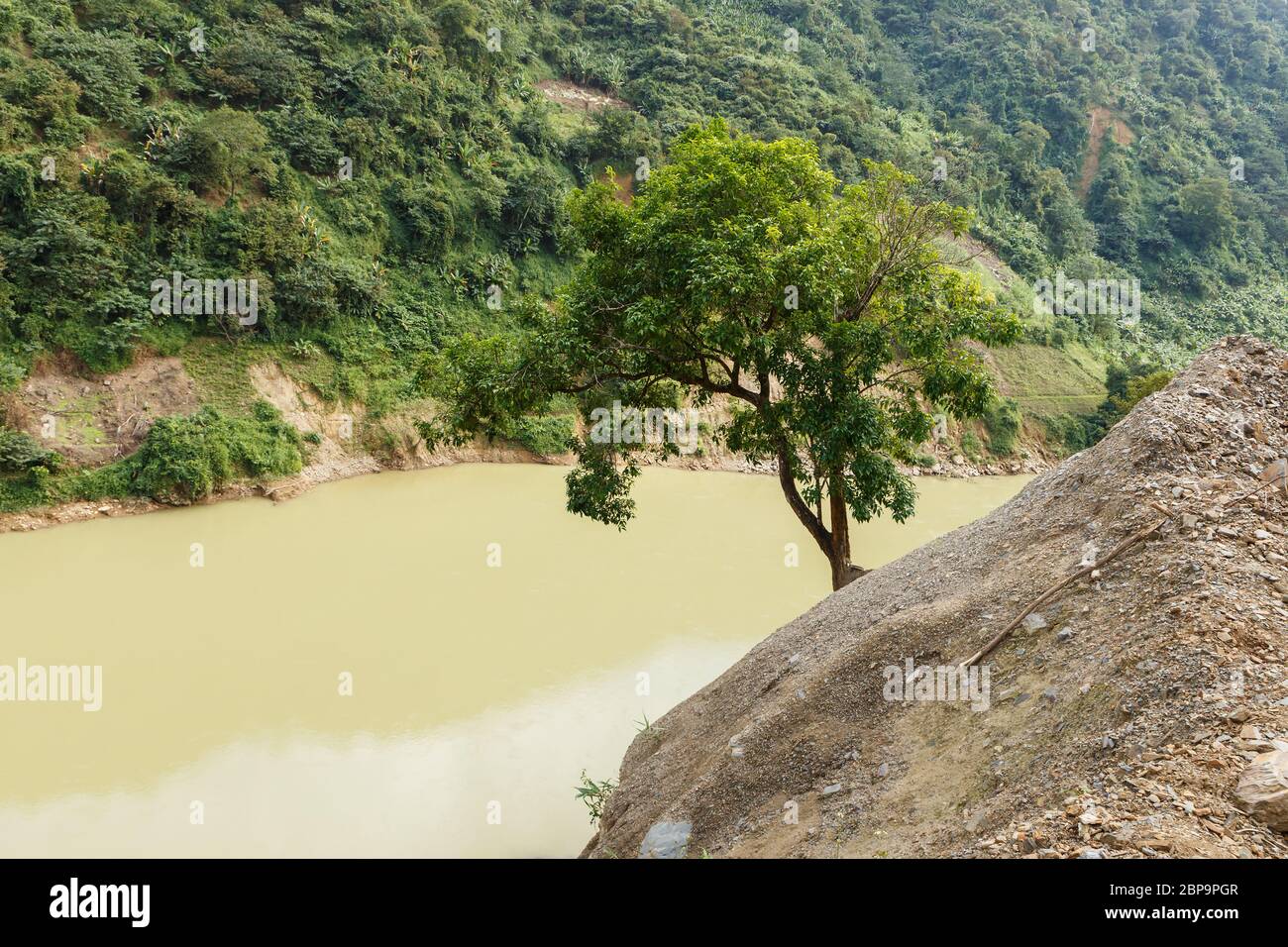 Nam na River. Lonely tree on a rocky shore. Lai Chau province. Vietnam ...