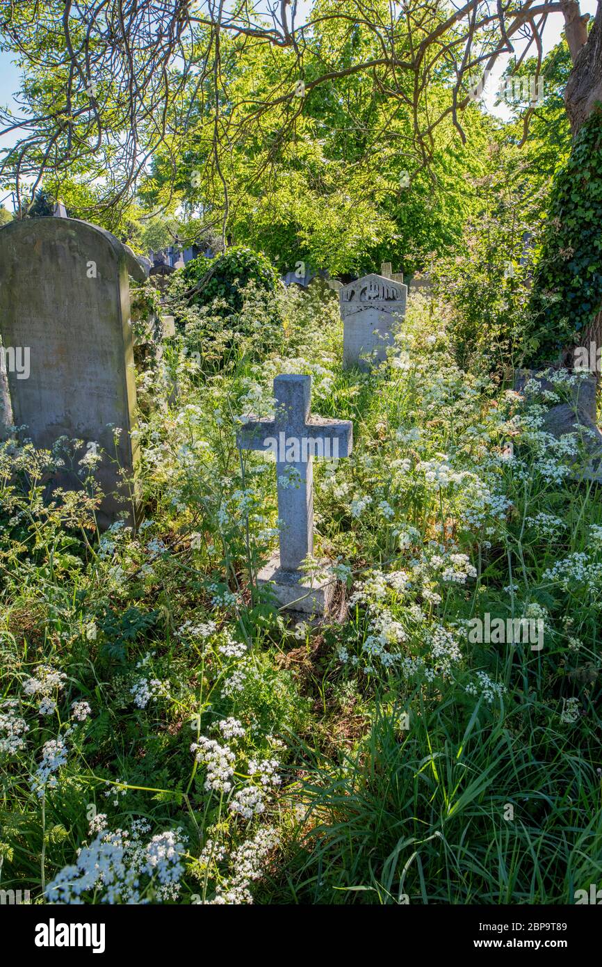 Brompton Cemetery, one of the Magnificent Seven London cemeteries, Old ...