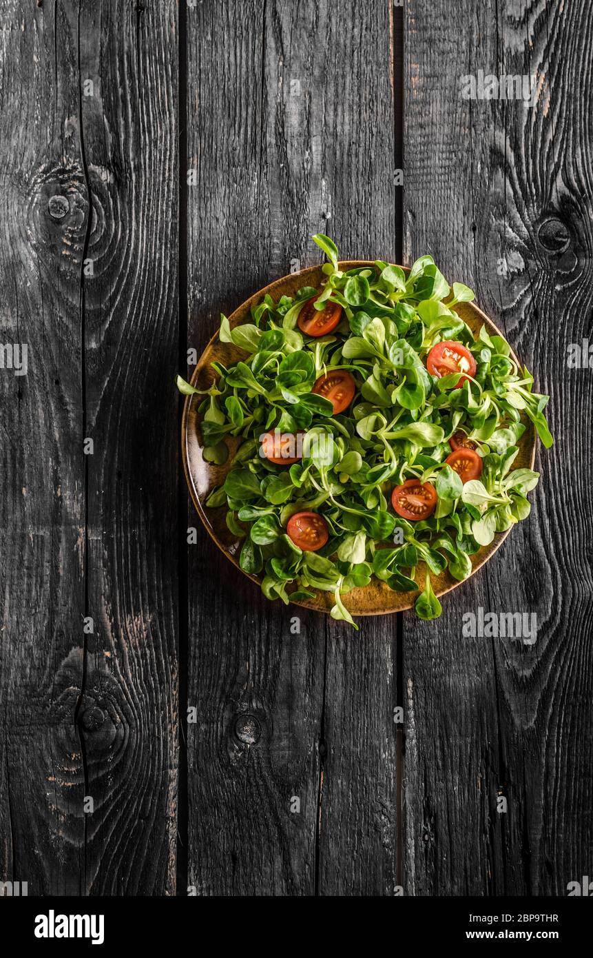 Lamb lettuce salad, tomatoes and herbs, food photography Stock Photo ...