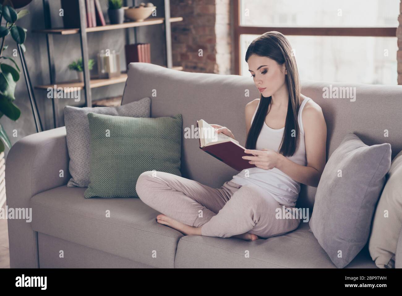 Full length photo of focused girl sit divan read book historical person ...