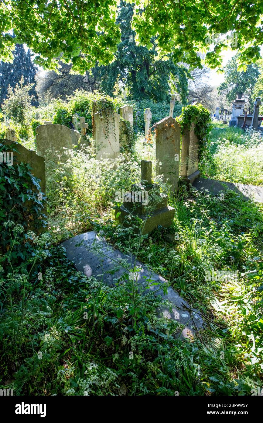 Brompton Cemetery, one of the Magnificent Seven London cemeteries, Old ...