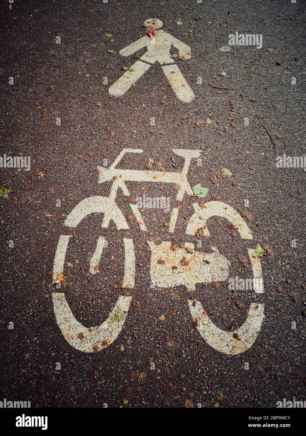 Color detail of a bicycle and pedestrian lane sign on the pavement ...