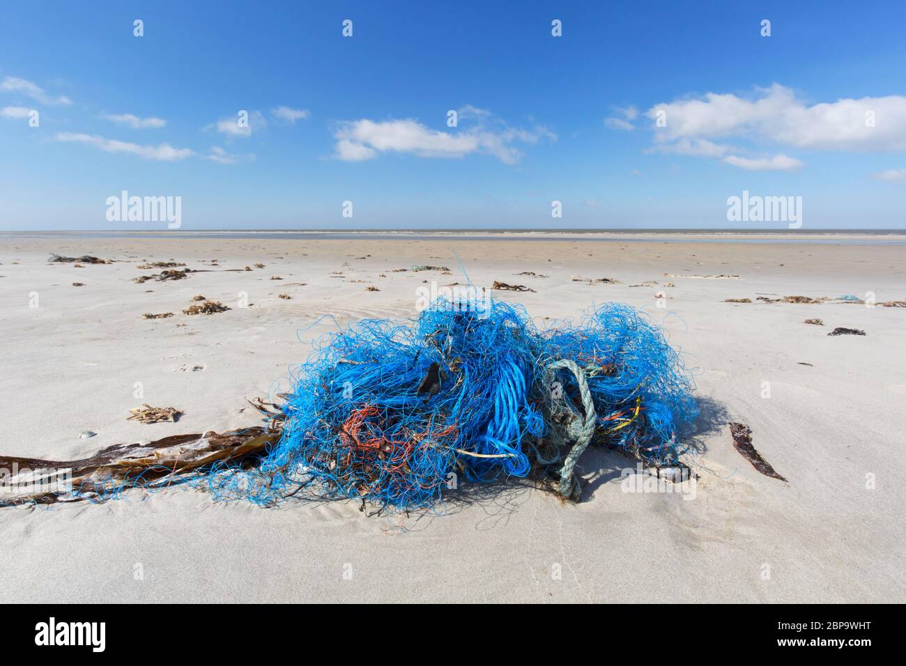 Discarded nylon fishnet / non-biodegradable fishing net washed ashore ...