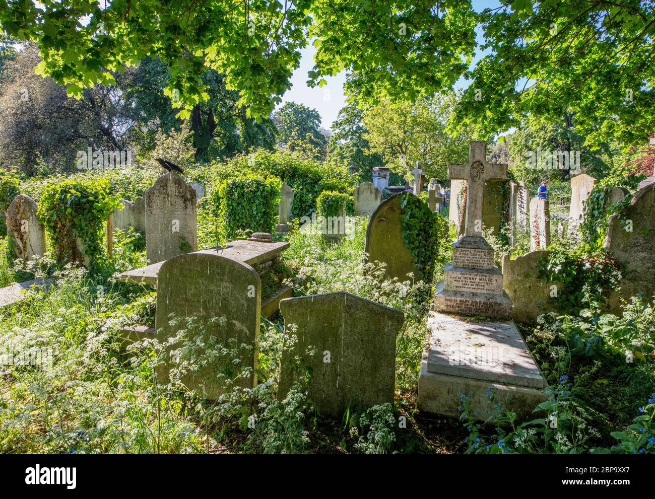 Brompton Cemetery, one of the Magnificent Seven London cemeteries, Old ...