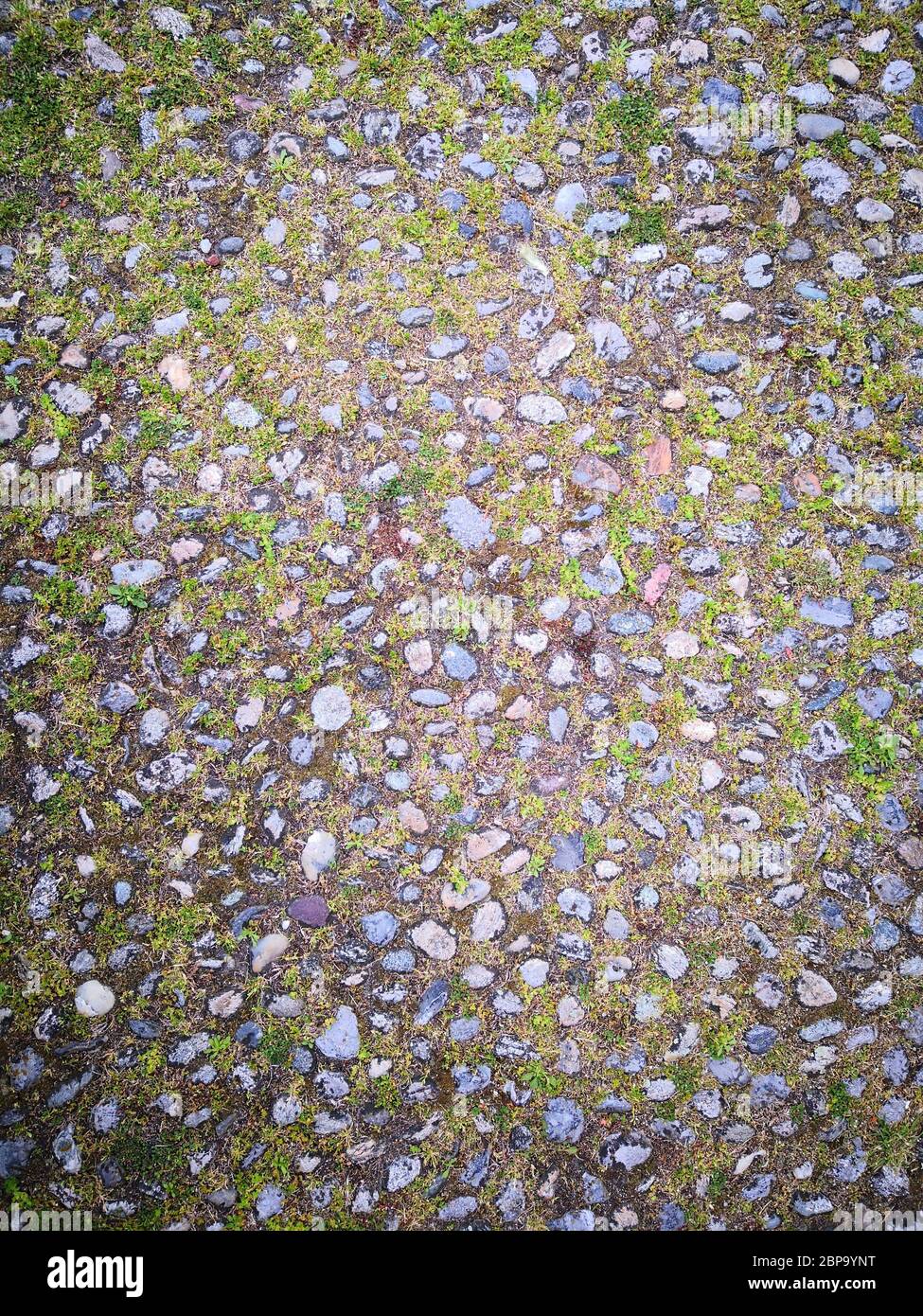 Color image of a pavement made of round stones Stock Photo - Alamy