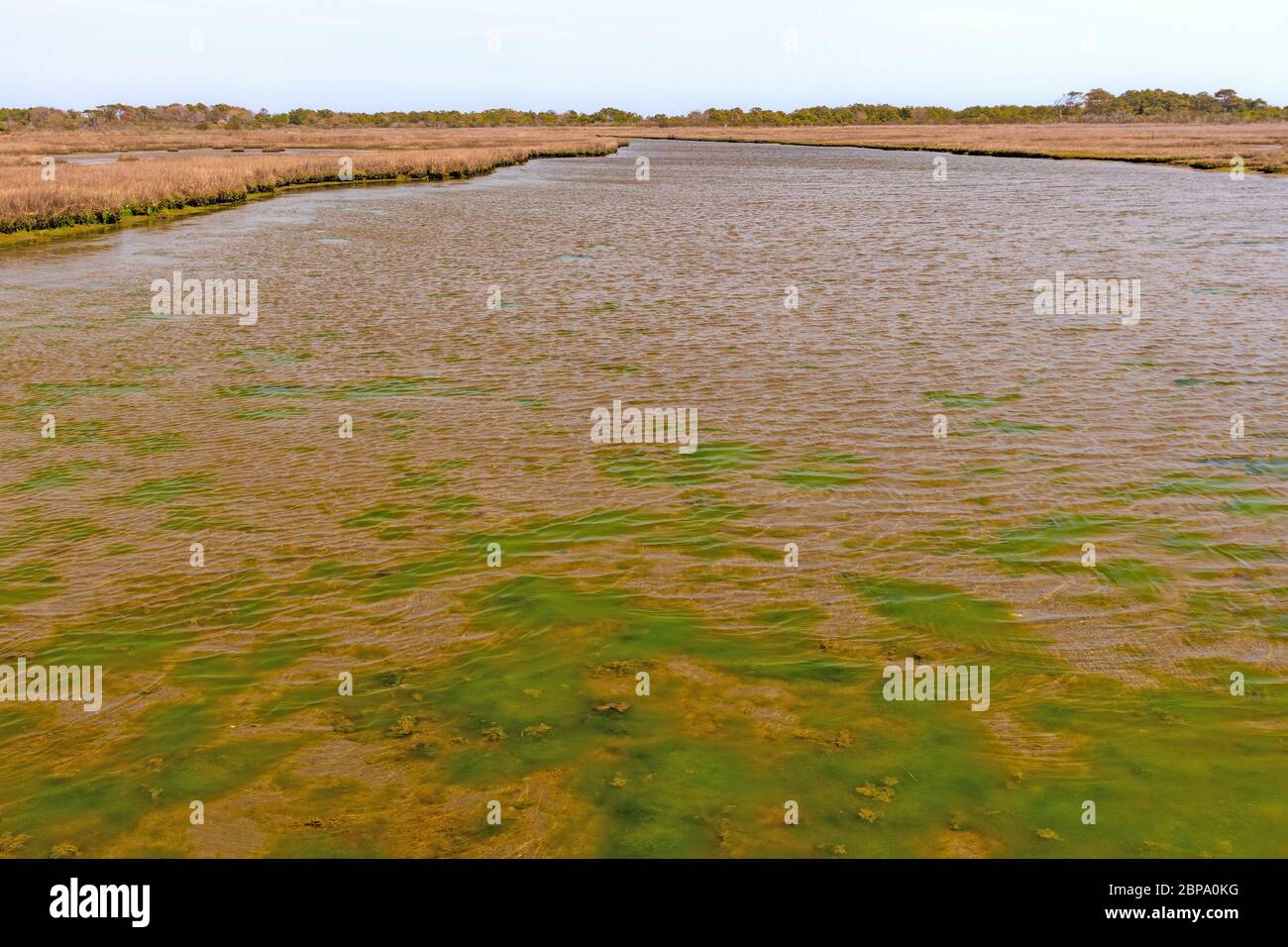 Colorful Estuary on a Barrier Island on Assateague Island National ...