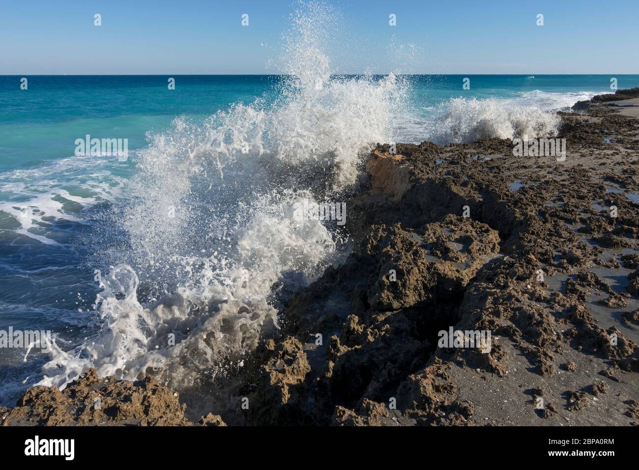 Ocean waves erode ancient coral reef, the Nature Conservancy's Blowing Rocks Preserve, Jupiter ...