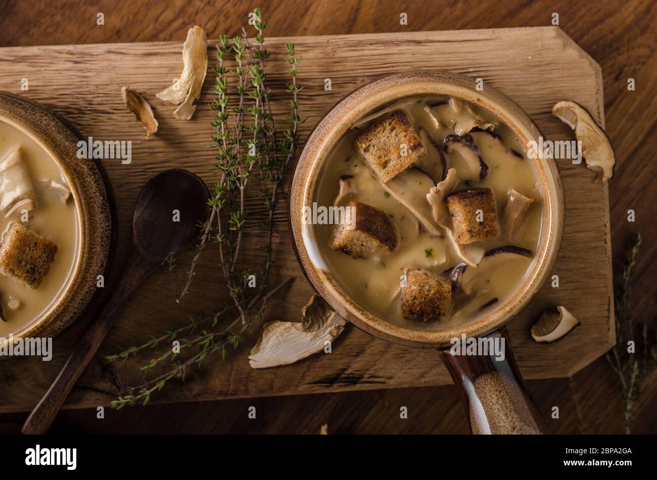Rustic mushrooms soup, czech forest mushrooms, fresh collect in woods ...