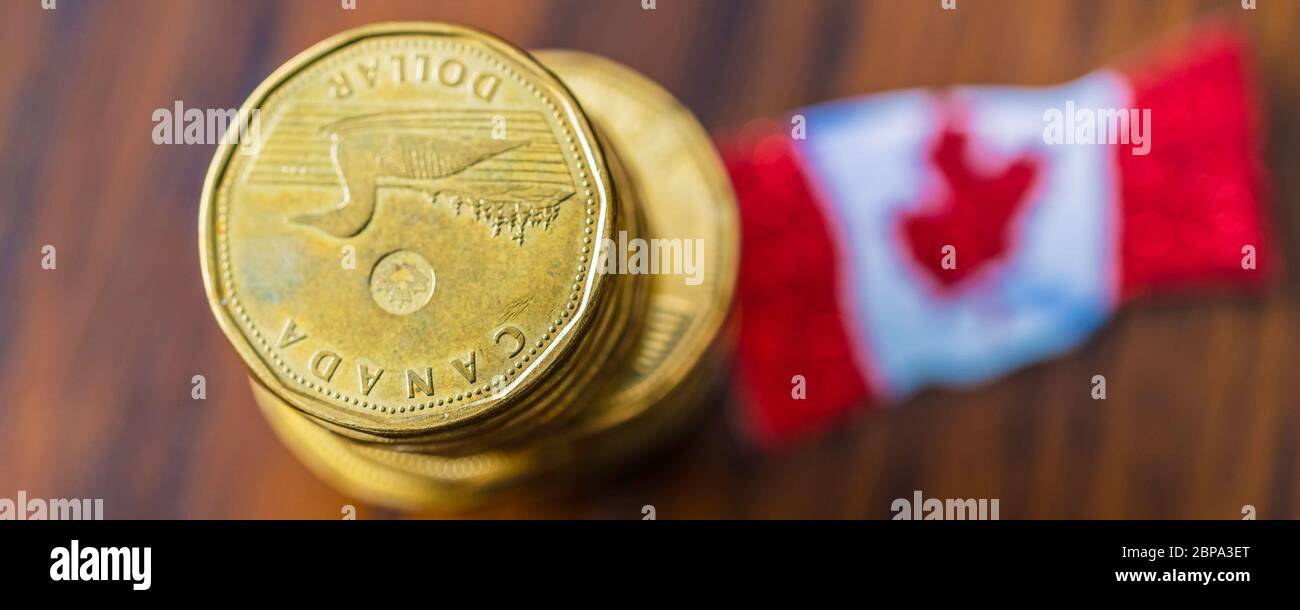Stack of Canadian 1 dollar Loonies with Canadian flag - Panorama Stock ...
